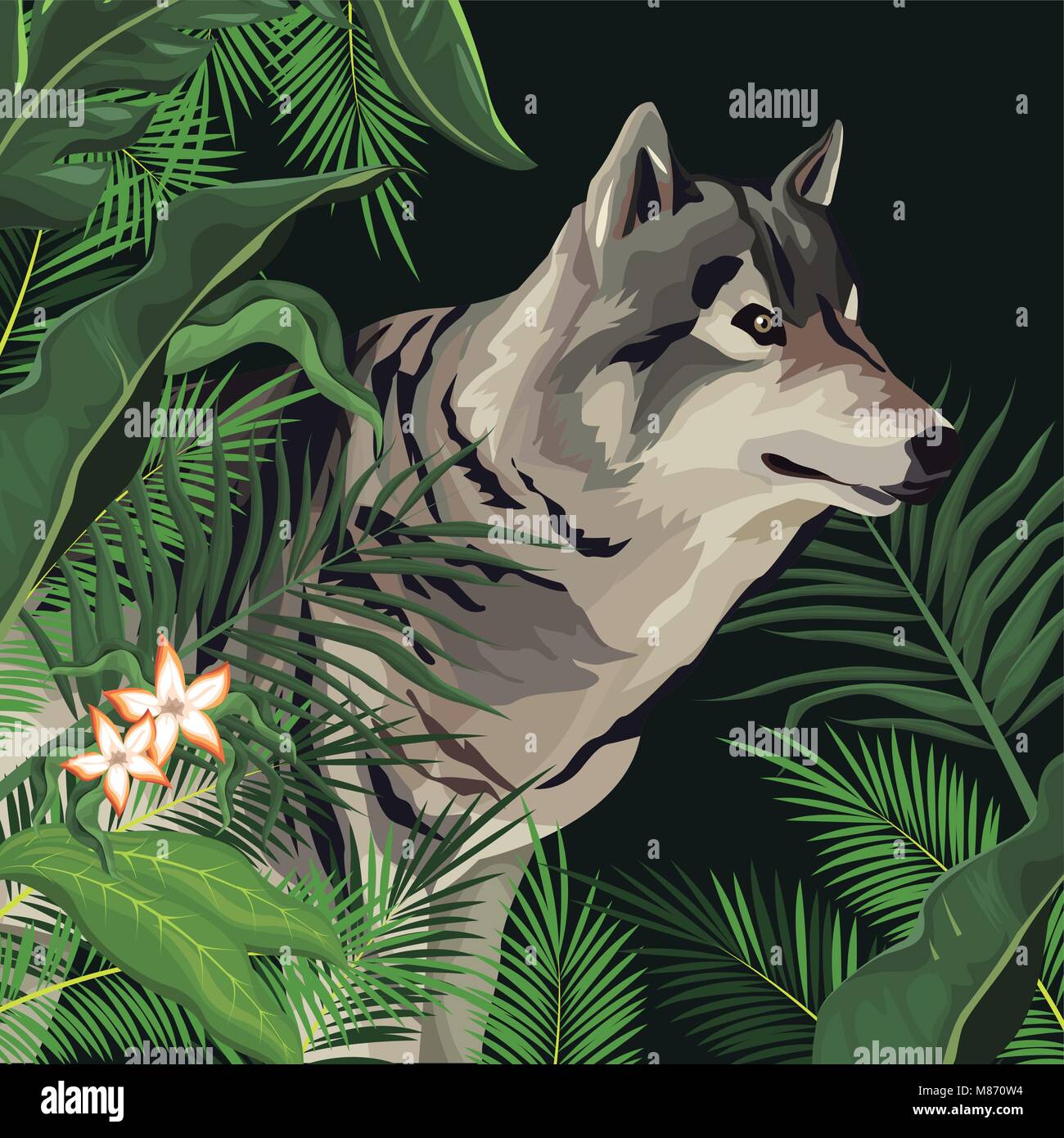 Wolf in the jungle over black background vector illustration graphic ...