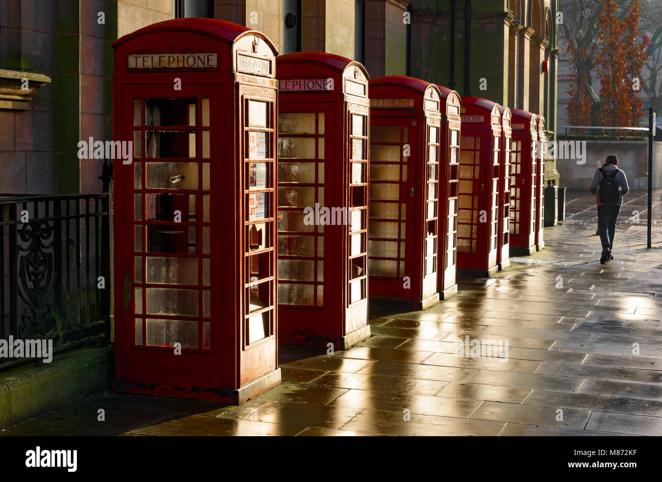 Young man walking past eight red telephone boxes, early morning ...