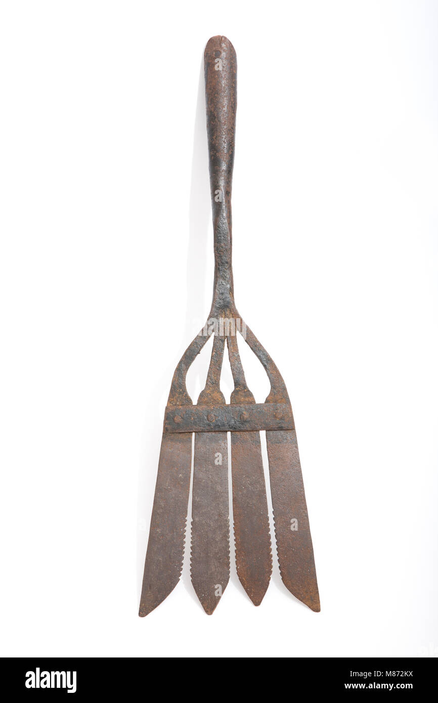 An eel spear or gleave on a white background, Dorset UK. The spear was ...