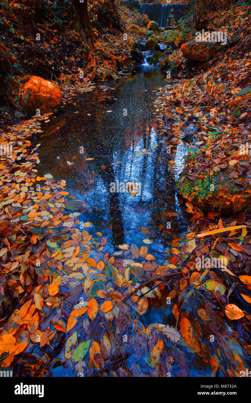 Amazing autumn colors in Toscana, Italy Stock Photo - Alamy