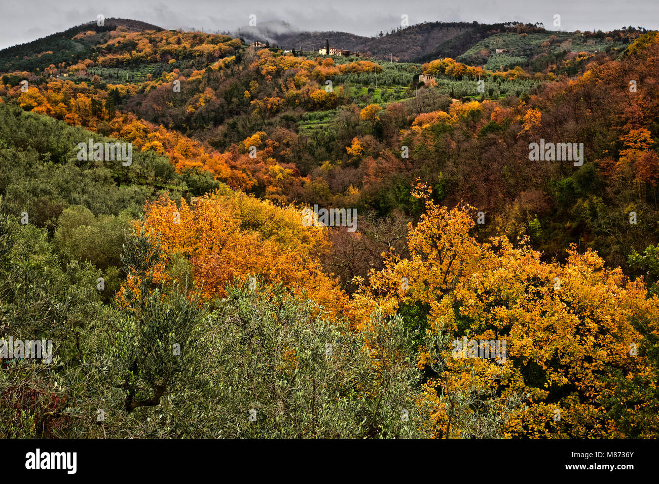 Amazing of colors hi-res stock photography and images - Alamy