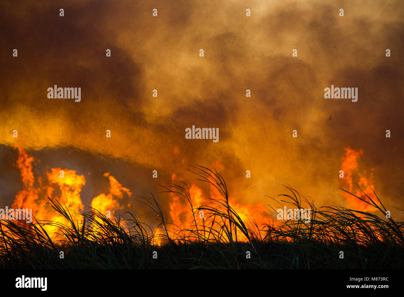 Fire along roadside Stock Photo - Alamy