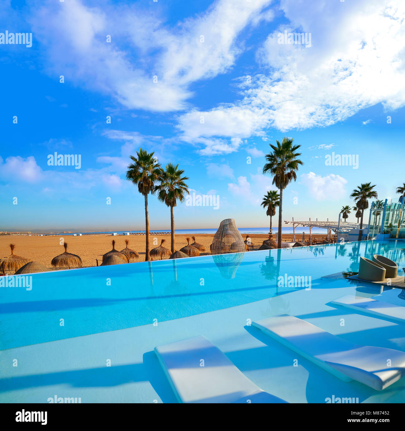 Resort infinity pool in the beach with palm trees paradise Stock Photo ...
