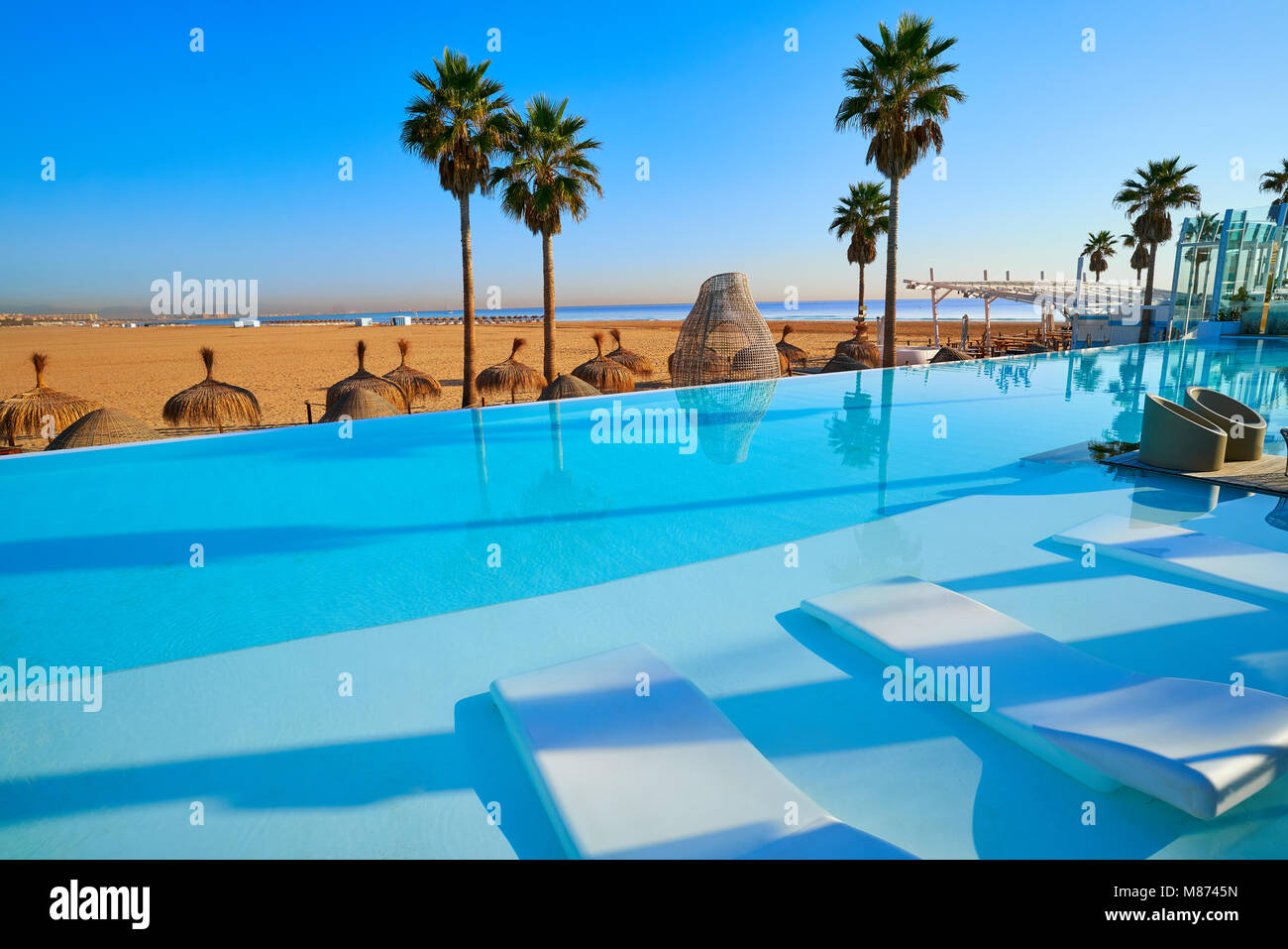 Resort infinity pool in the beach with palm trees paradise Stock Photo ...