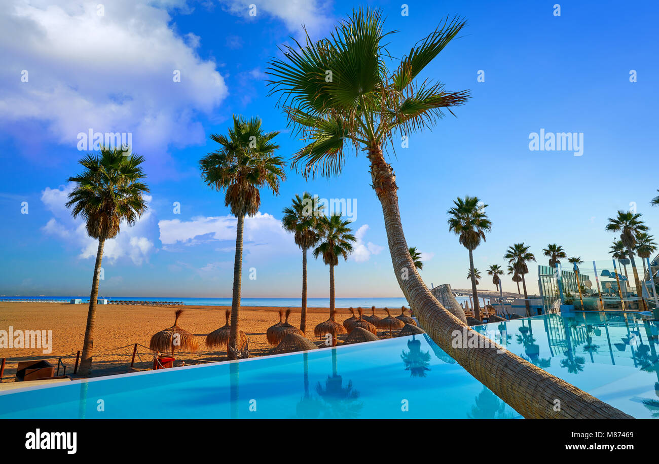 Resort infinity pool in the beach with bent palm trees paradise Stock ...