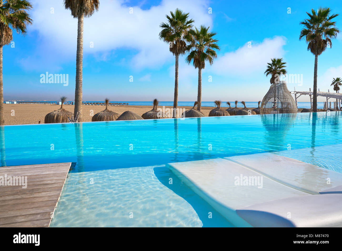 Resort infinity pool in the beach with palm trees paradise Stock Photo ...