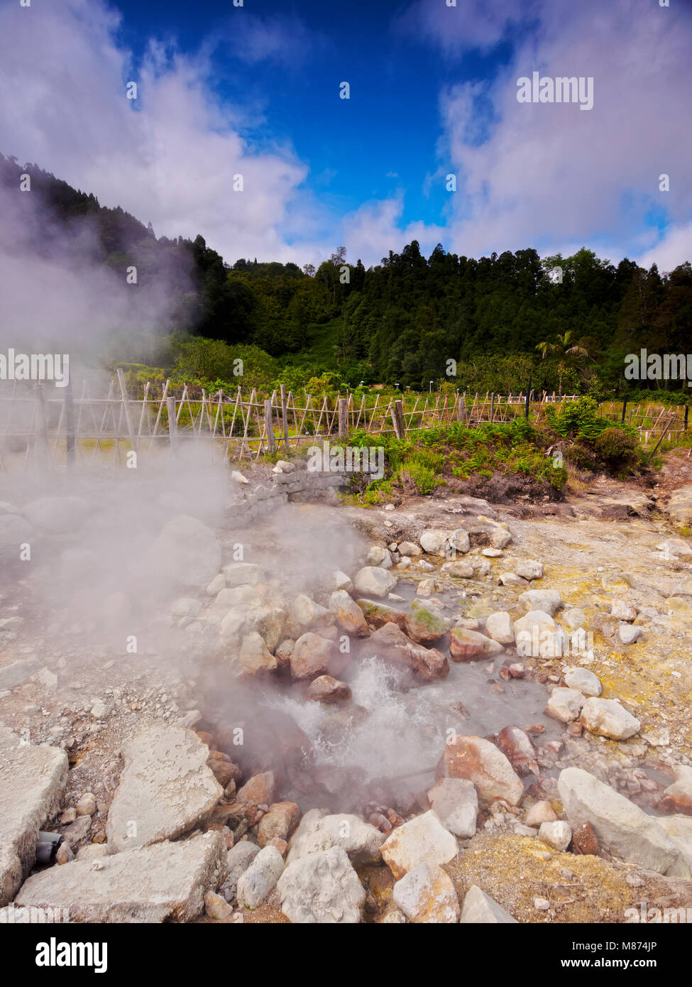 Fumarolas da Lagoa das Furnas, hot springs, Sao Miguel Island, Azores ...