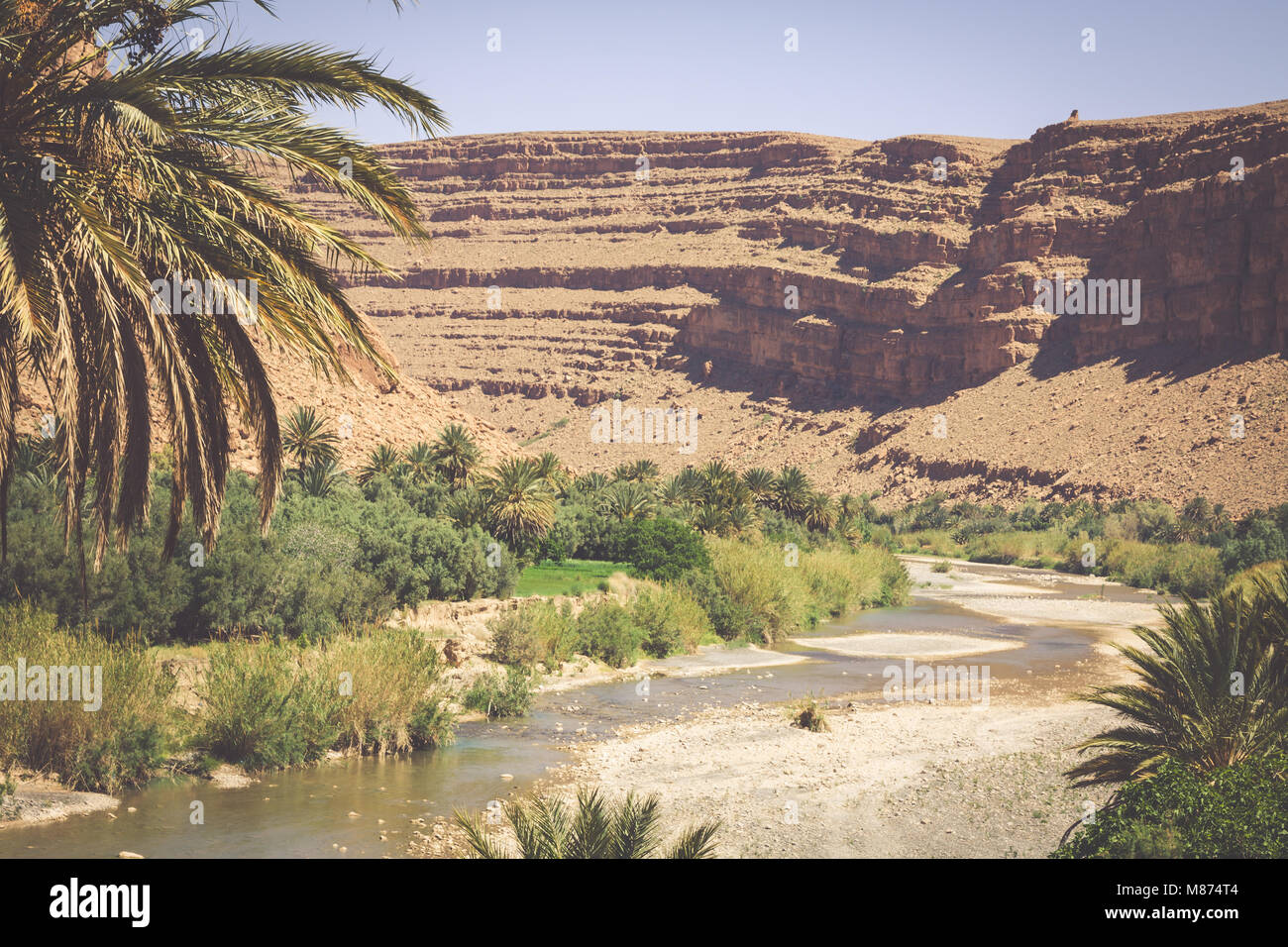 Wide view of canyon and cultivated fields and palms in Errachidia ...