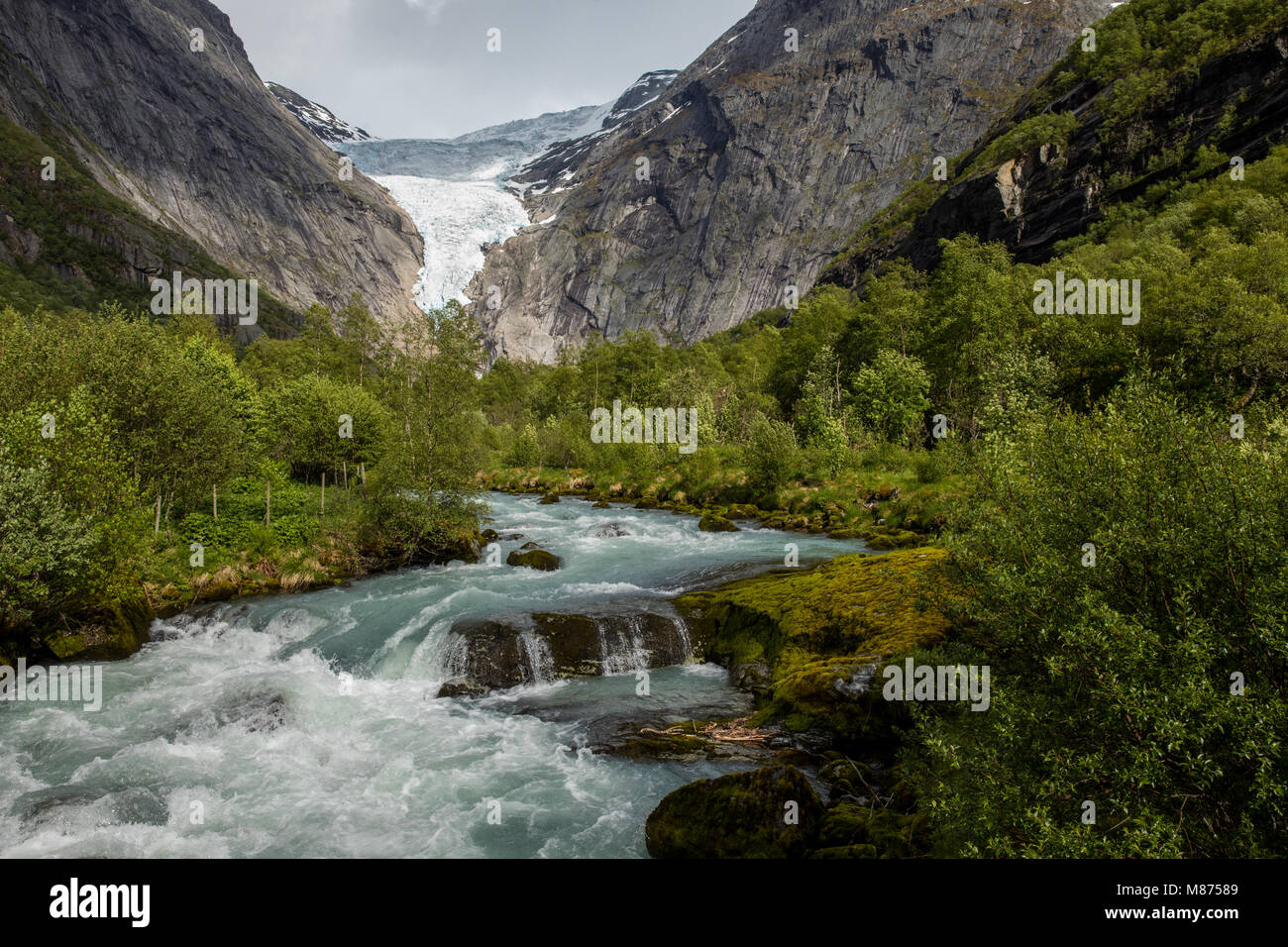 Gletscherzunge hi-res stock photography and images - Alamy