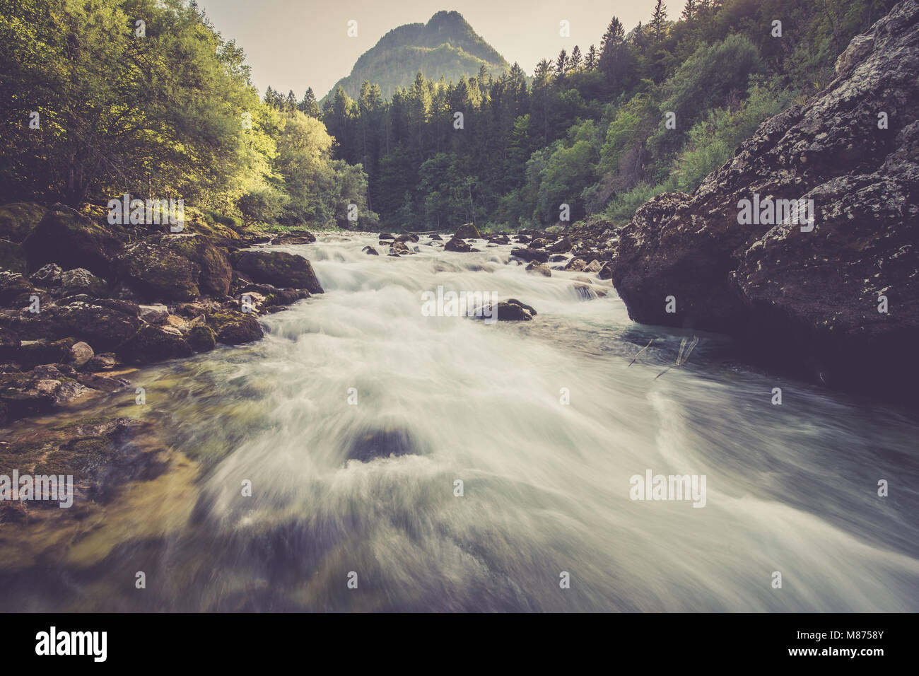 Mountain river in the green forest Stock Photo - Alamy