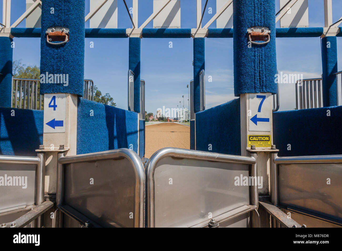 Horse racing inside starting gate compartment for each horse and jockey ...