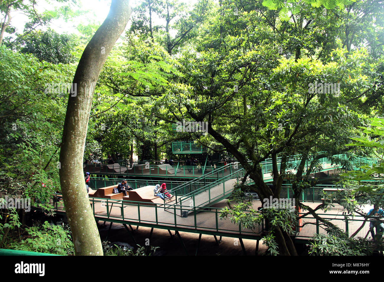 Forest city in Bandung, Wet Java, Indonesia Stock Photo - Alamy