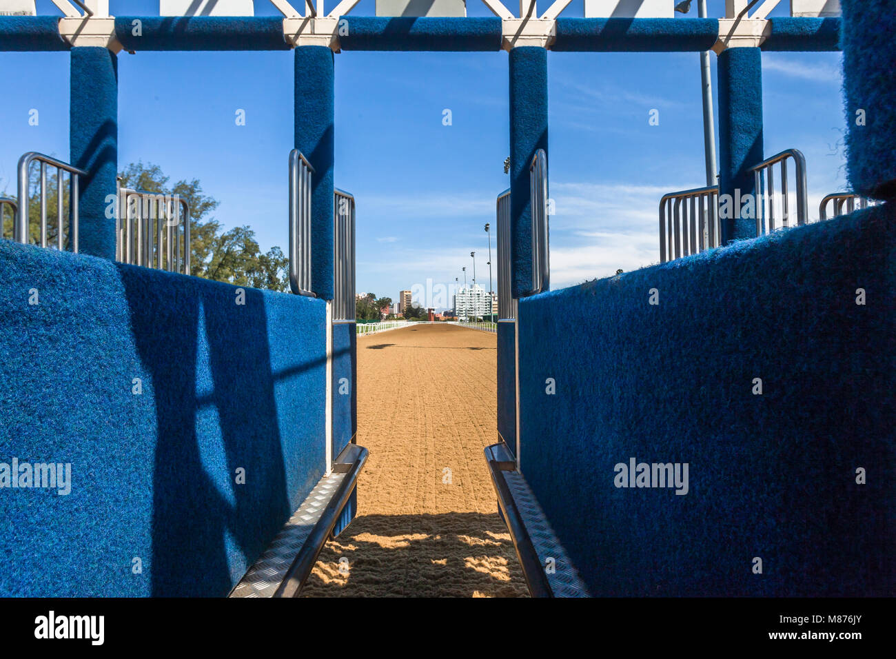 Horse racing inside starting gate compartment for each horse and jockey ...