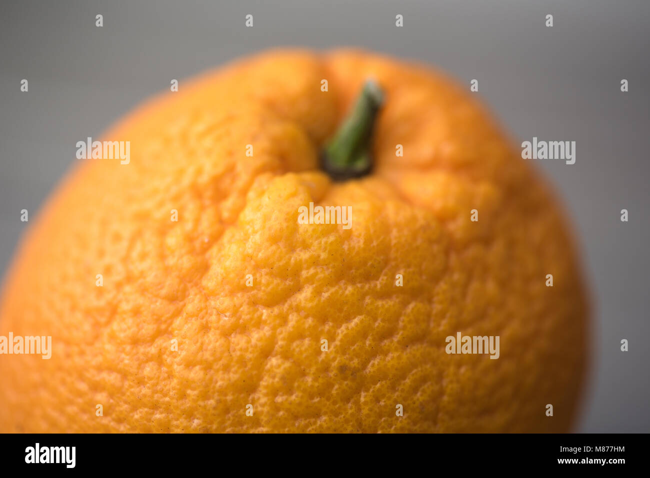 orange fruit Close up Stock Photo - Alamy