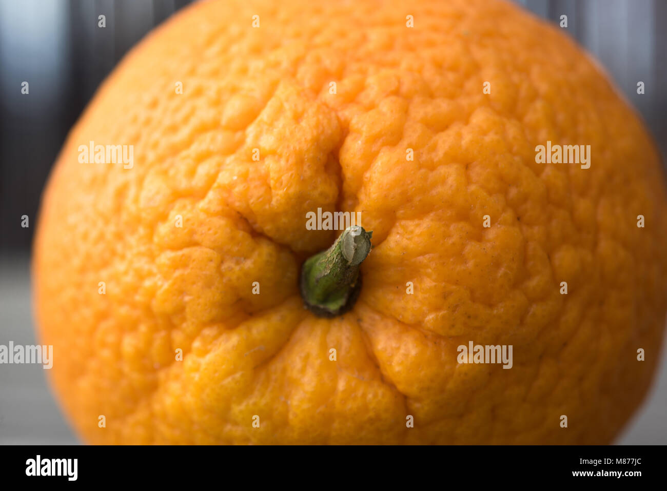 orange fruit Close up Stock Photo - Alamy