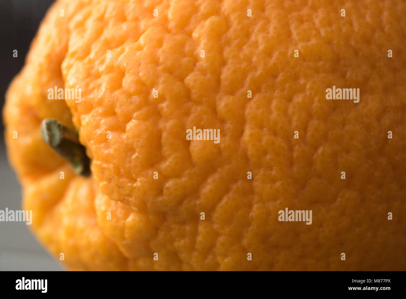 orange fruit Close up Stock Photo - Alamy