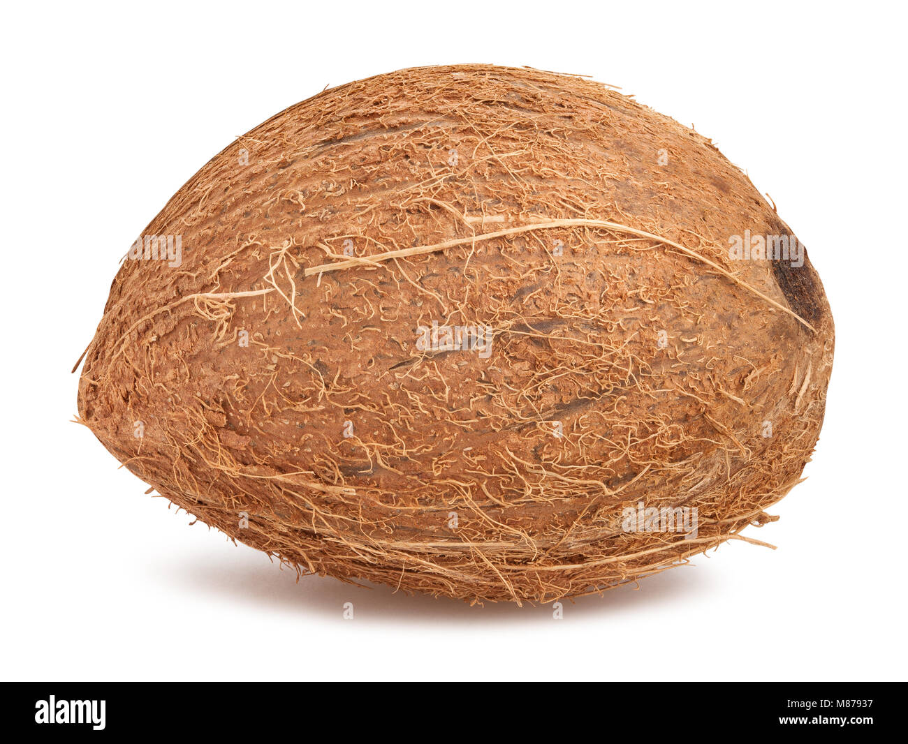 Hard shell of coconut Cut Out Stock Images & Pictures - Alamy