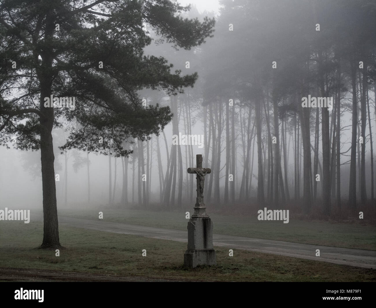 Forest and Cross In Fog Stock Photo - Alamy