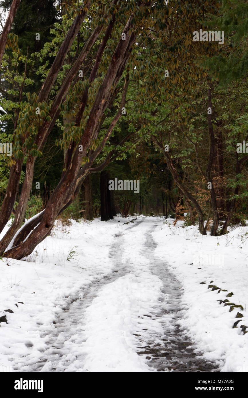 fresh snow in the Scottish highlands Stock Photo - Alamy