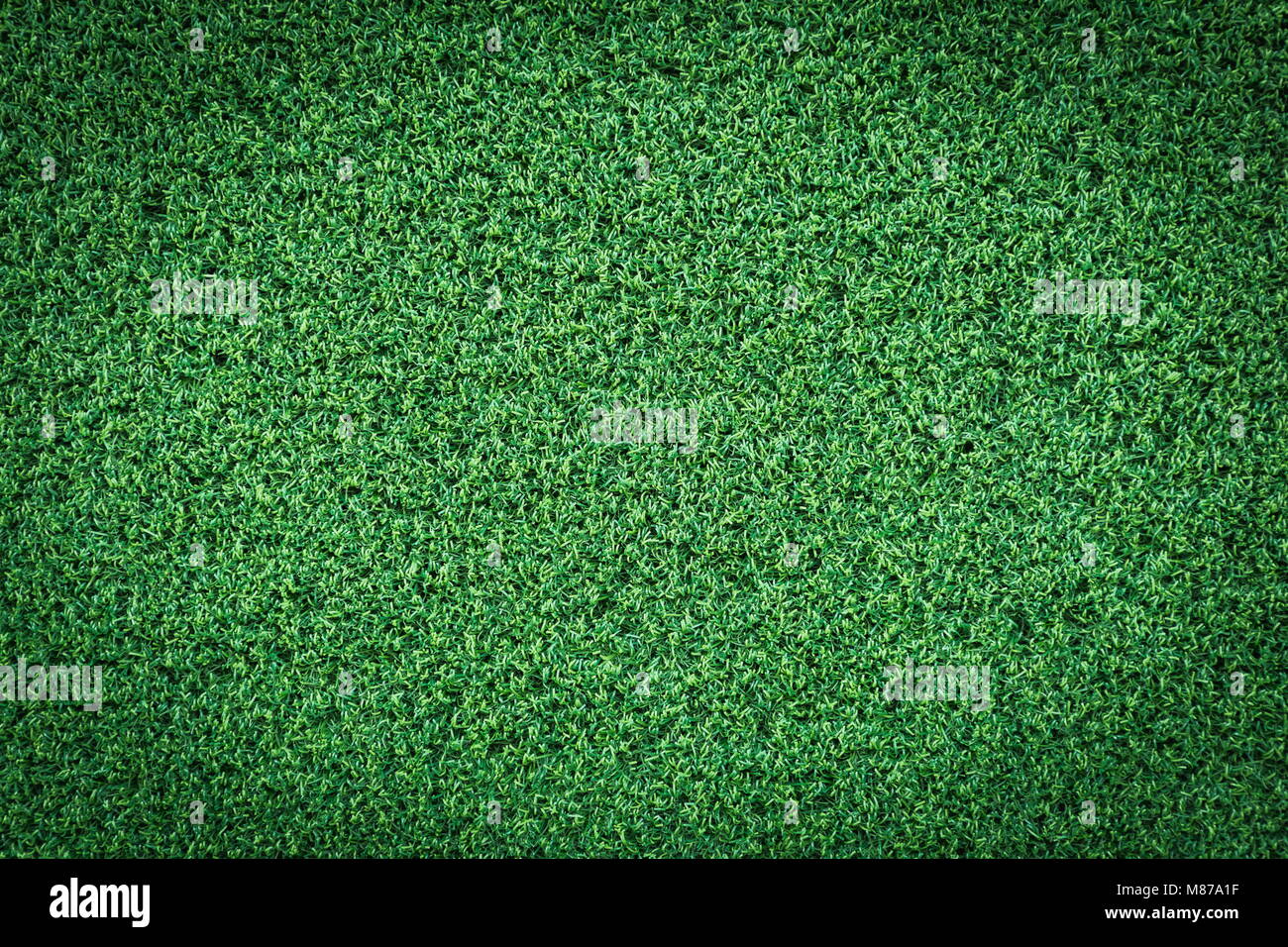 Grass texture or grass background. green grass for golf course, soccer ...