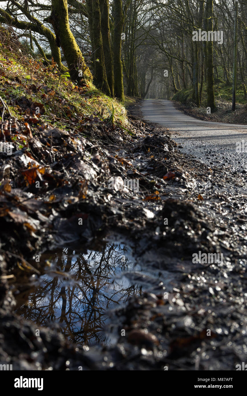 Fuel spill asphalt hi-res stock photography and images - Alamy