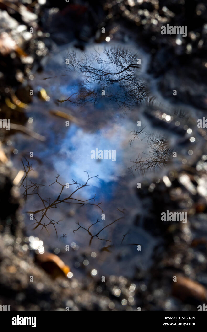 fuel leaking into a puddle at the side of a country road Stock Photo ...