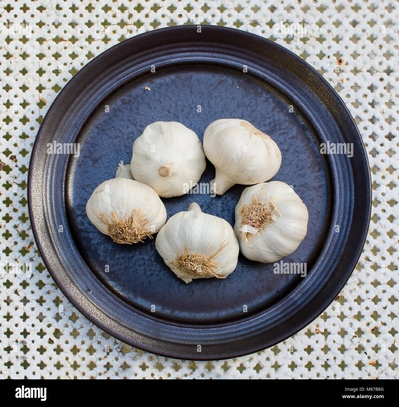 Fresh garlic on dark plate outdoors from above Stock Photo - Alamy