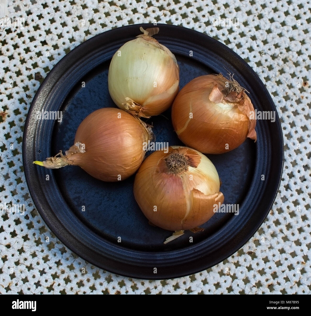 Fresh yellow onions hi-res stock photography and images - Alamy