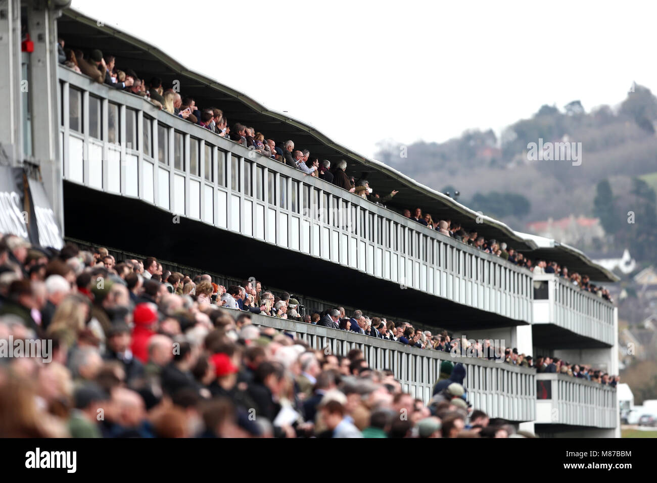 A general view of Long Run boxes on Ladies Day at Cheltenham Racecourse ...