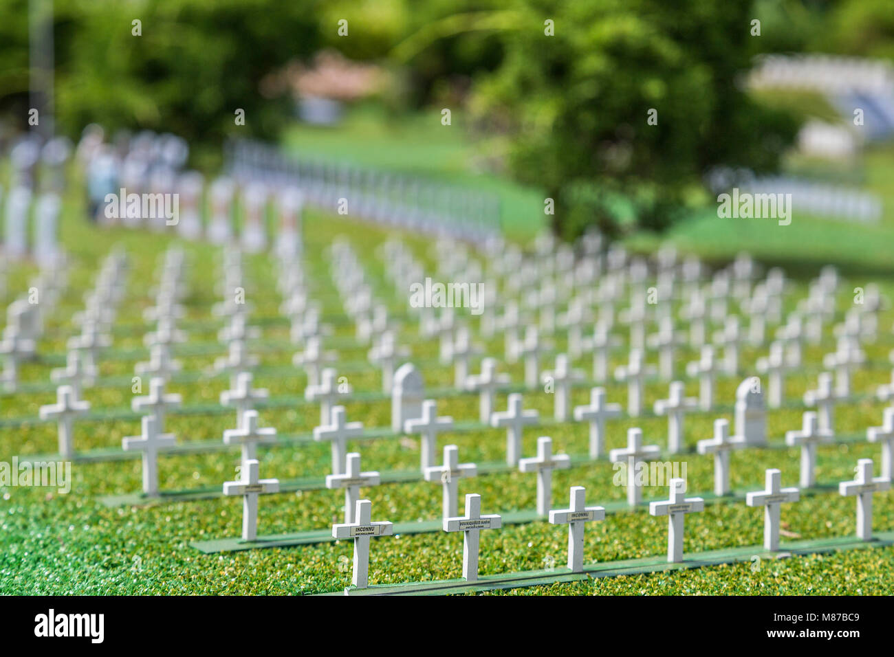 Miniature cemetery park with many white crosses of green grass. buried ...