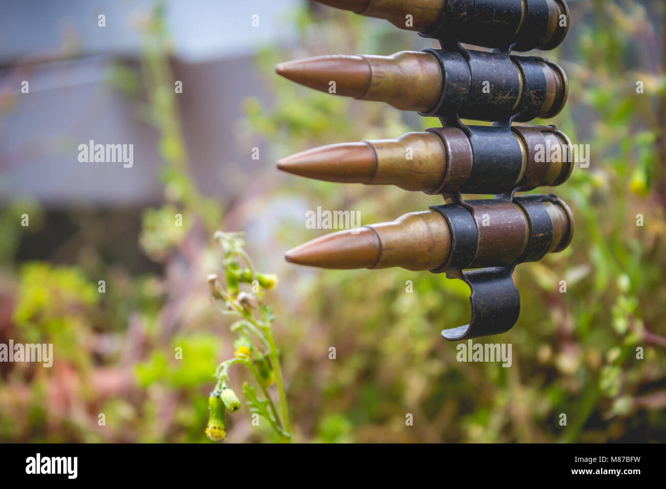 Ammunition belt hi-res stock photography and images - Alamy