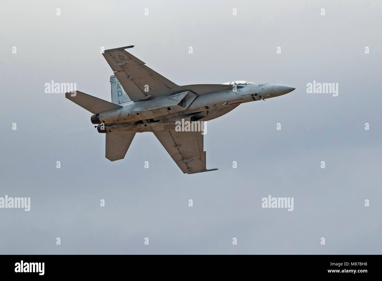 Airplane F-18 Hornet Rhino jet fighter Stock Photo - Alamy