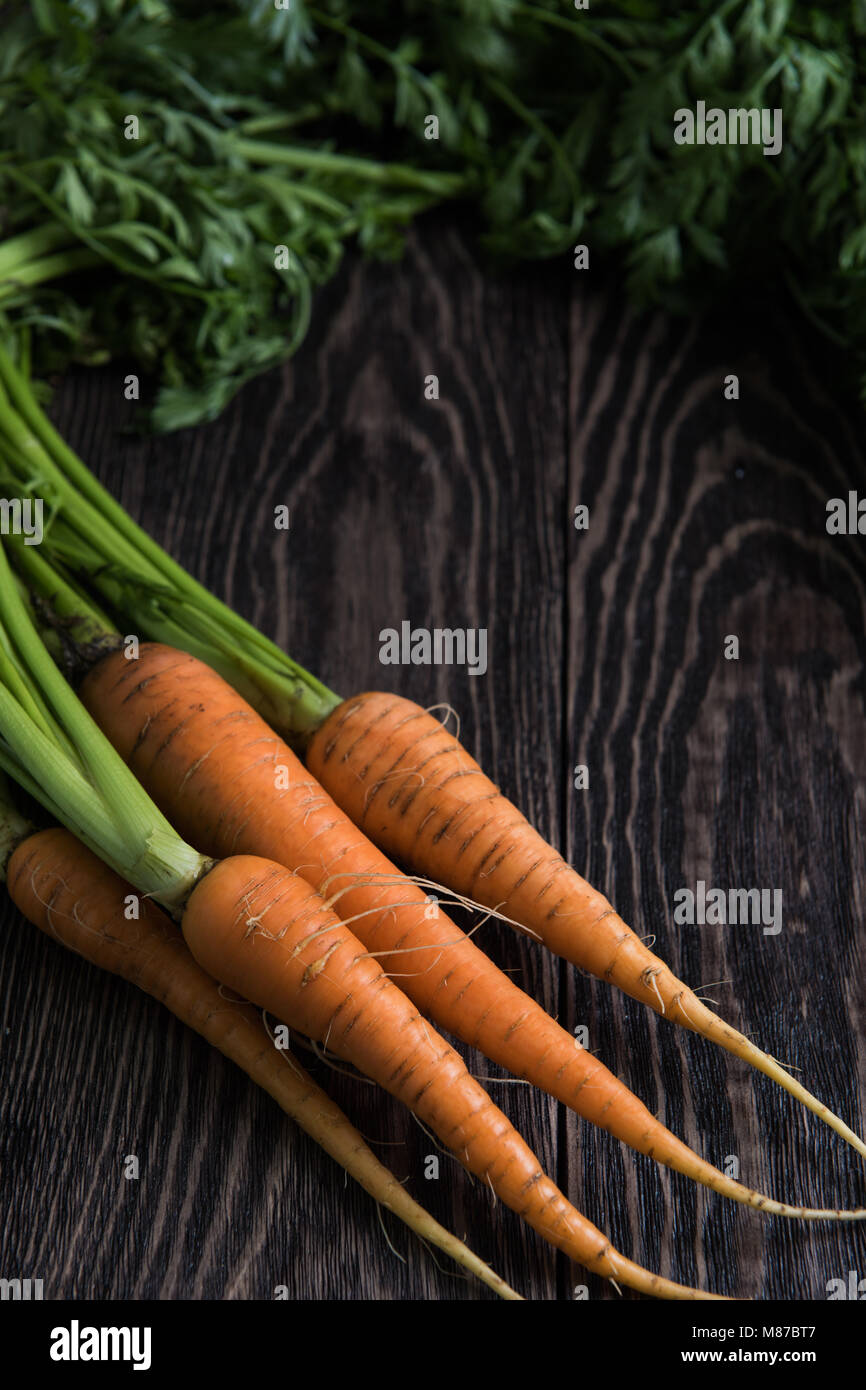 Freshly grown carrots Stock Photo - Alamy