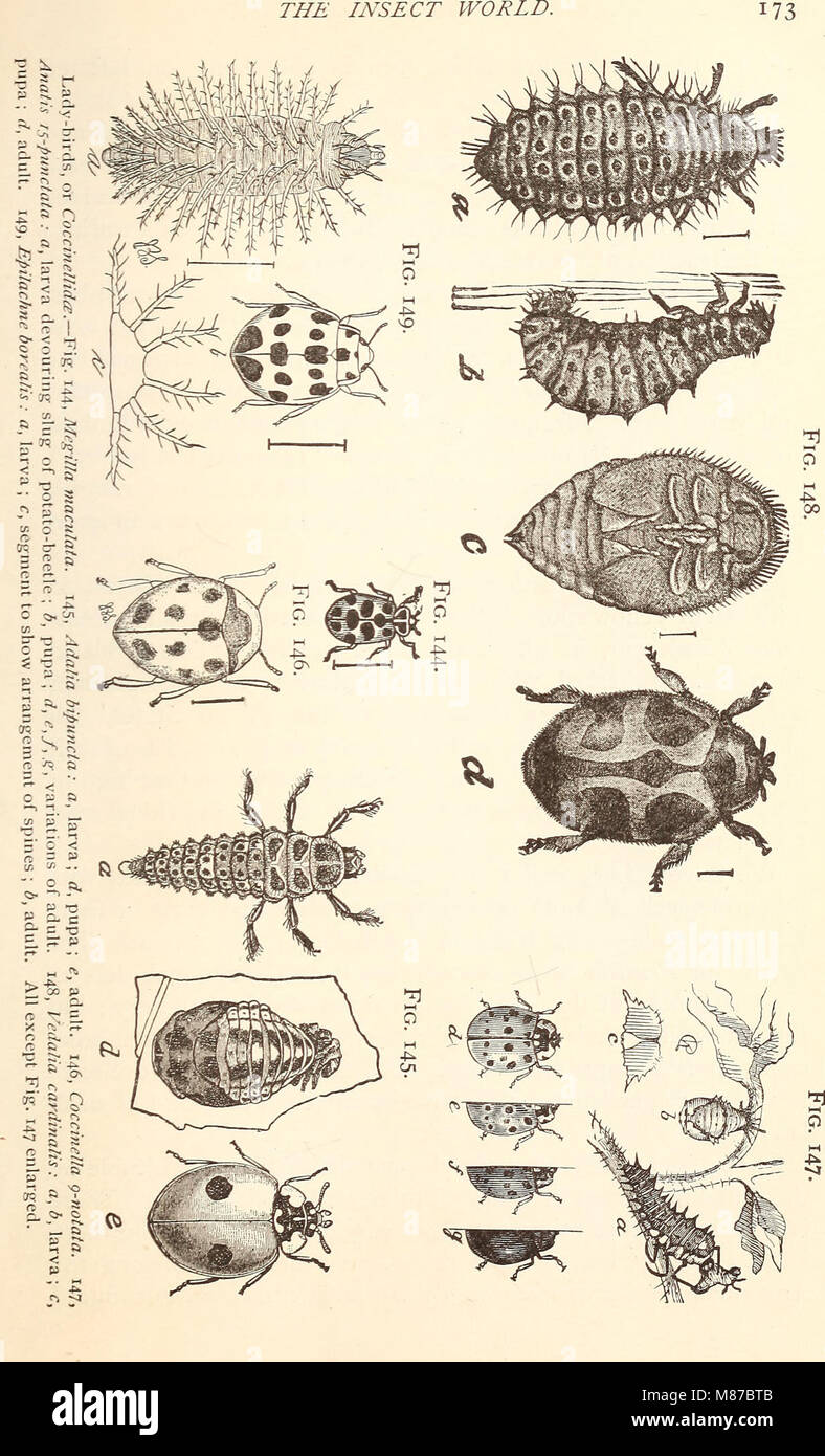 This 1896 publication provides practical guidance on managing pests and ...