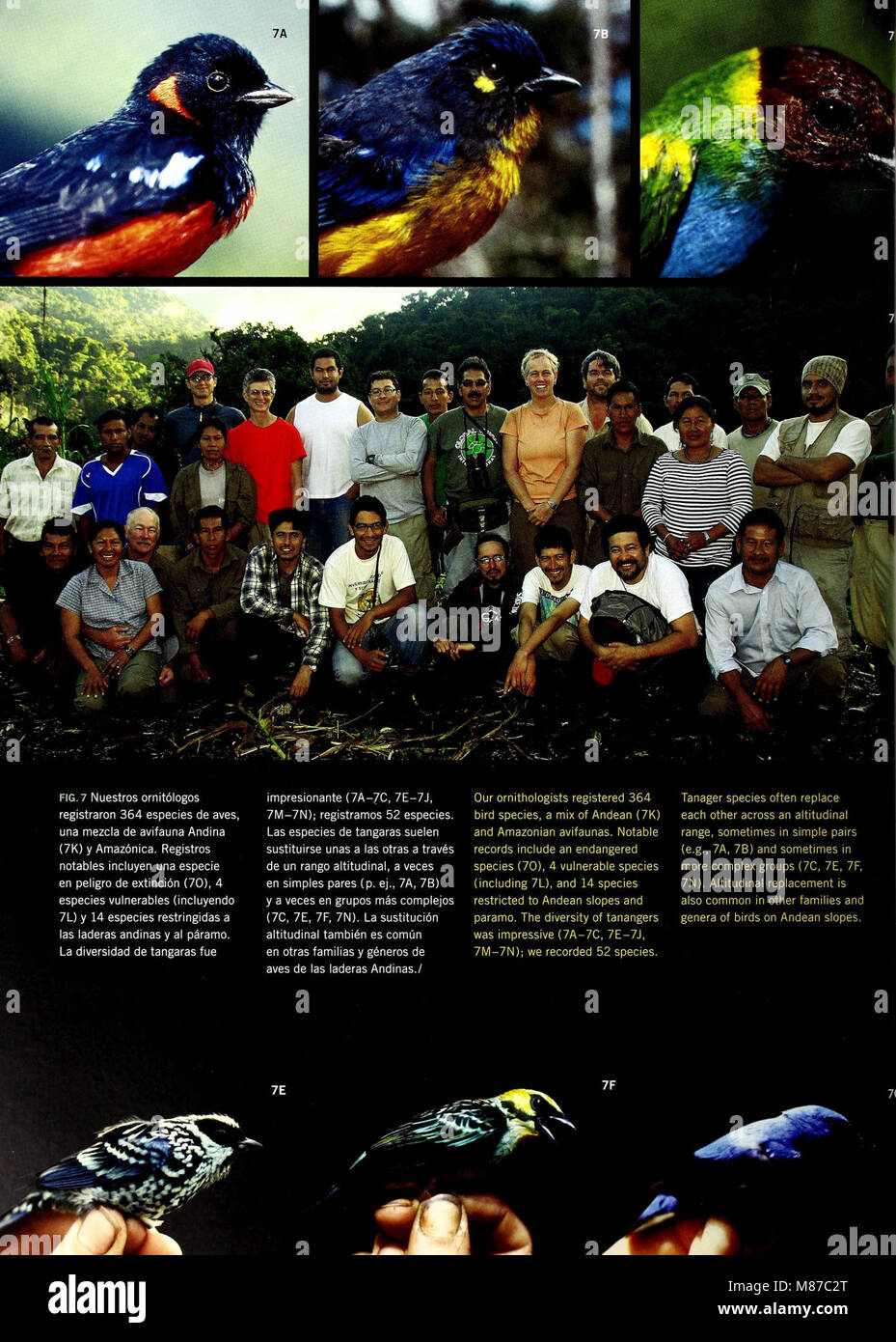 Ecuador - Cabeceras Cofanes-Chingual (2009) (21147021382 Stock Photo ...