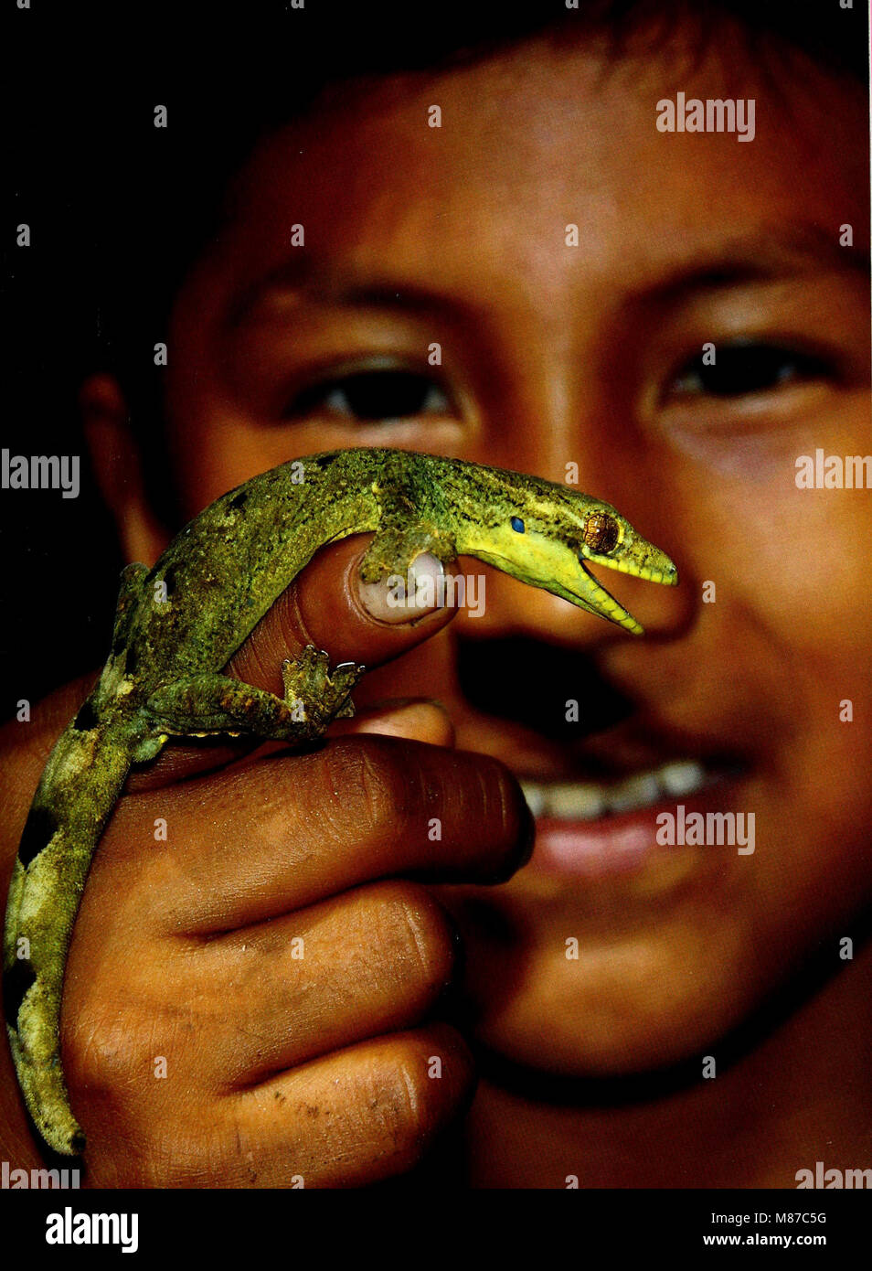 Ecuador - Territorio Cofan Dureno (2007) explores the Cofan indigenous ...