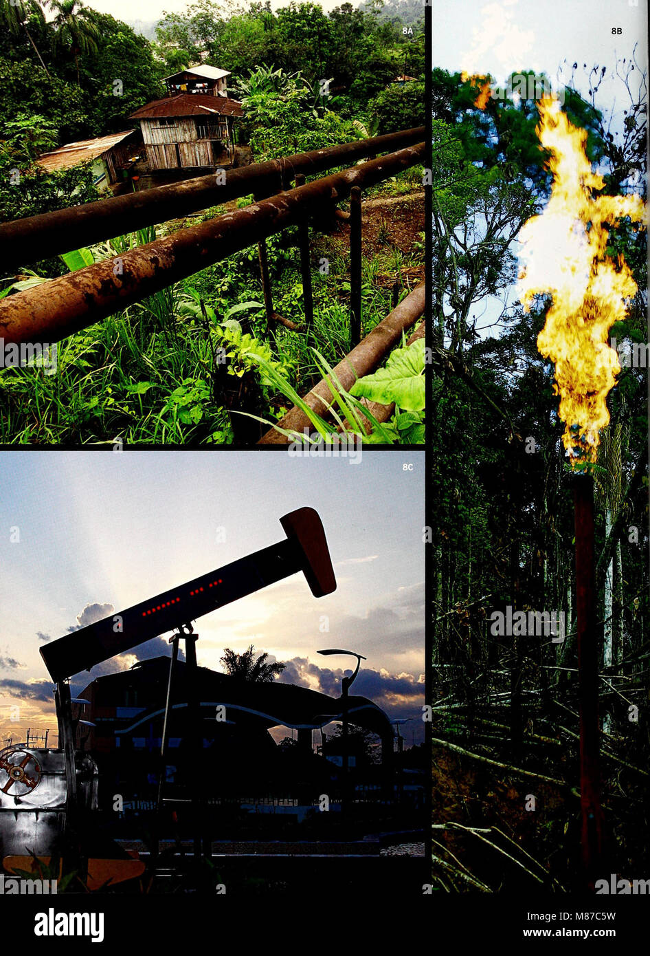 'Ecuador - Territorio Cofan Dureno' (2007) documents the indigenous ...