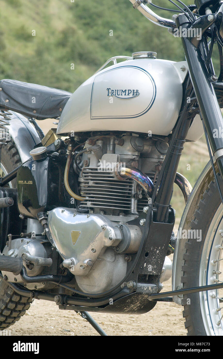 1950 Triumph 500cc TR5 Trophy Stock Photo - Alamy