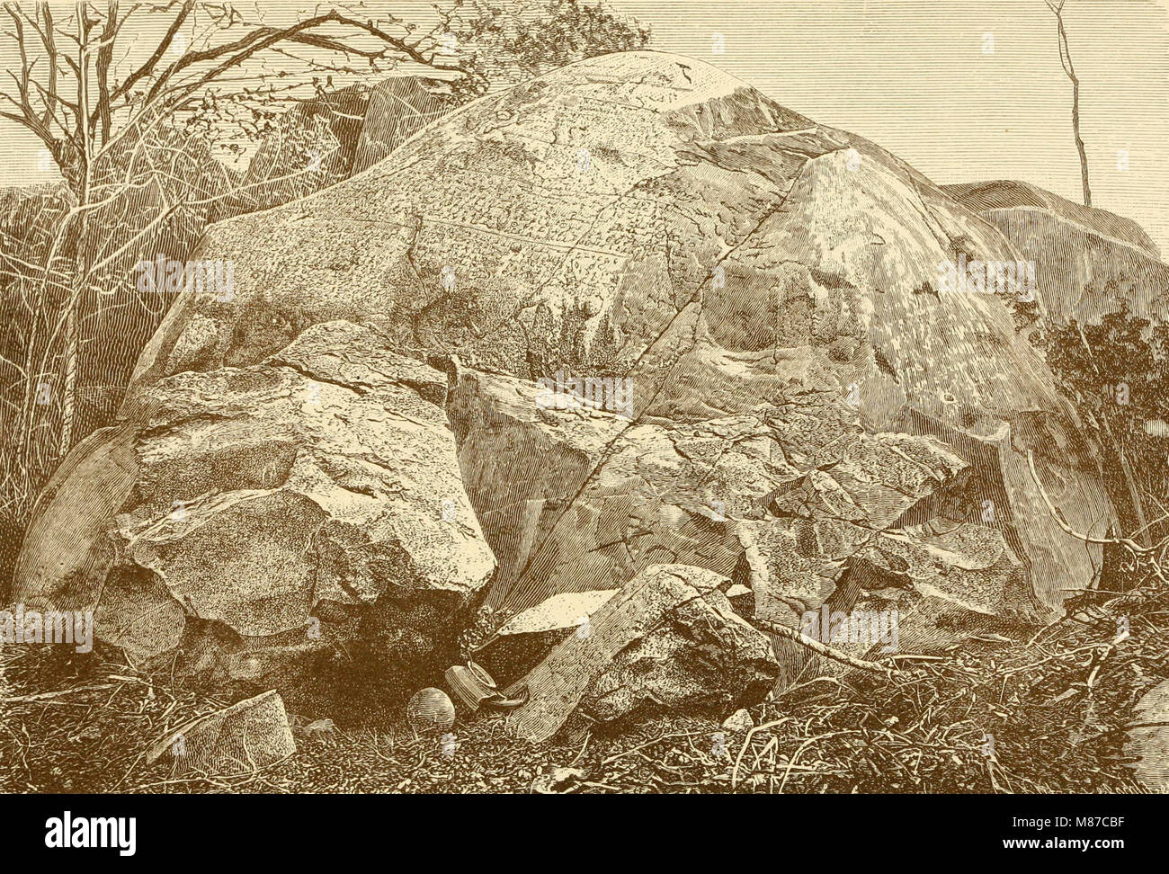 The *Edicts of Ashoka* at Junagadh, Gujarat, are inscriptions created ...