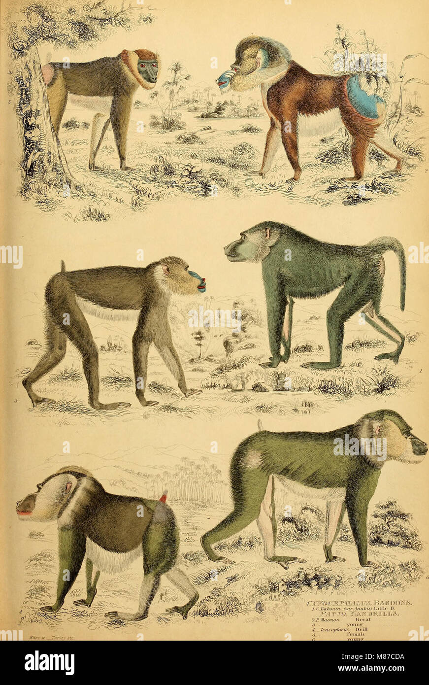 The *Edinburgh Journal of Natural History and Physical Sciences* (1835 ...