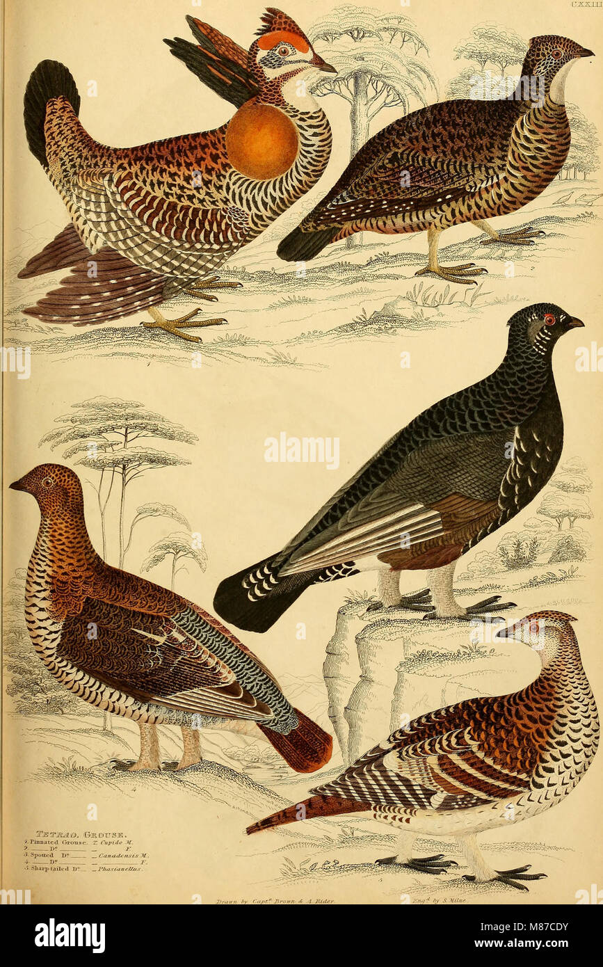 The 1835 'Edinburgh Journal of Natural History and of the Physical ...