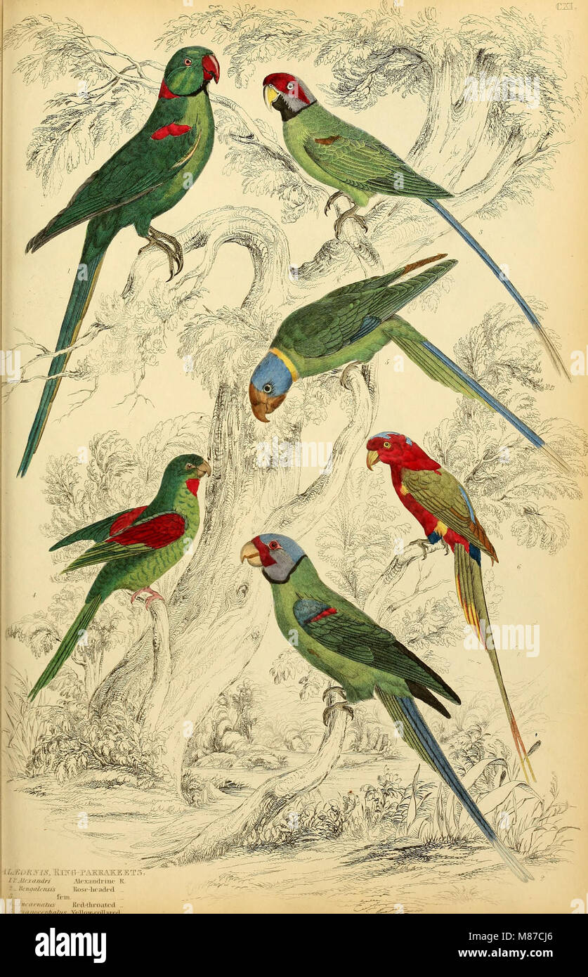 The 1839 edition of the Edinburgh Journal of Natural History and ...