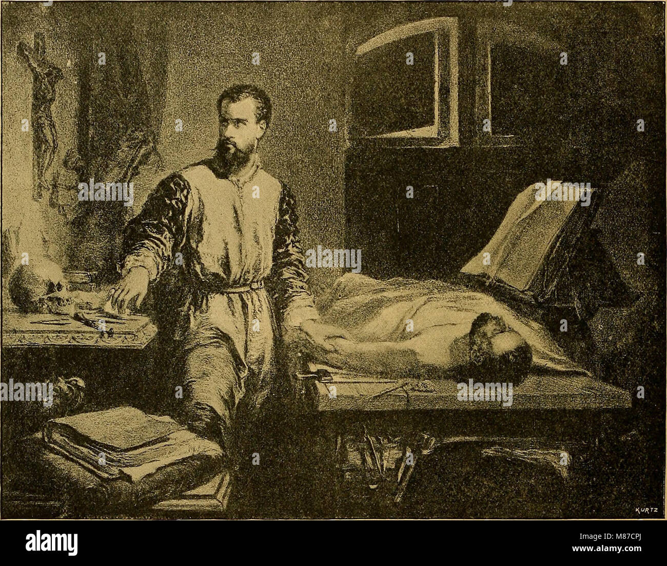 This work explores the contributions of Andrea Vesalius to the field of ...