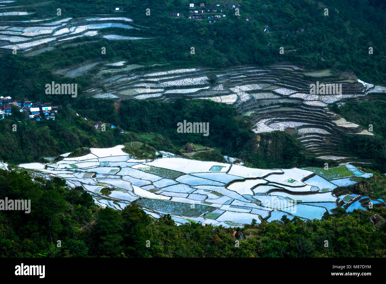 Amazing abstract texture of rice terraces fields with sky colorful ...