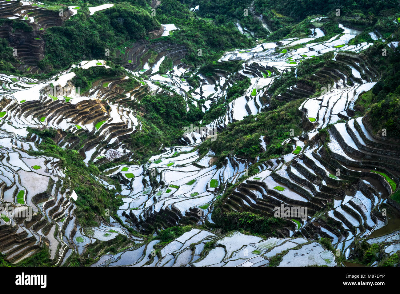 Amazing abstract texture of rice terraces fields with sky colorful ...