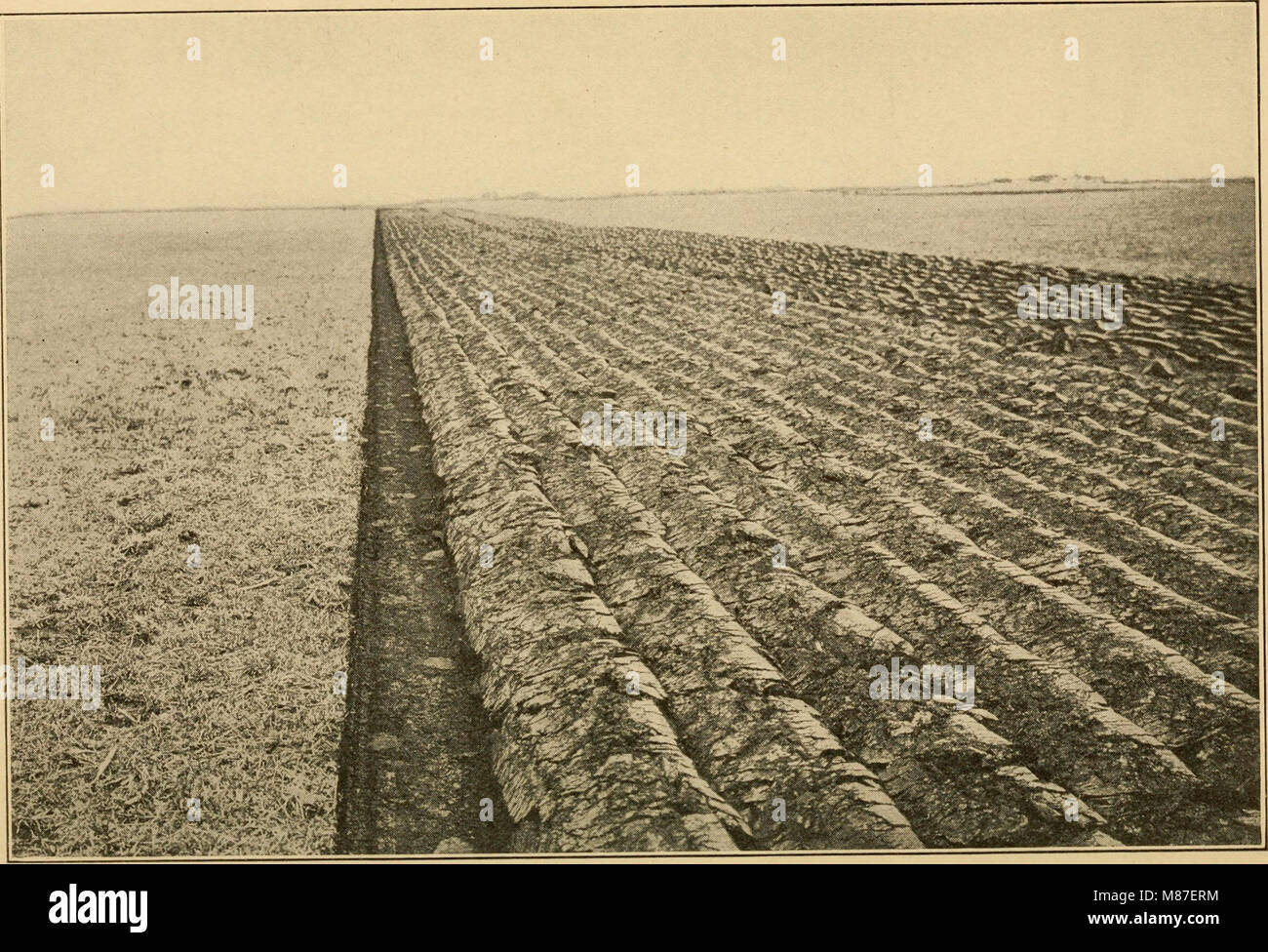 This 1919 textbook on effective farming offers practical advice for ...