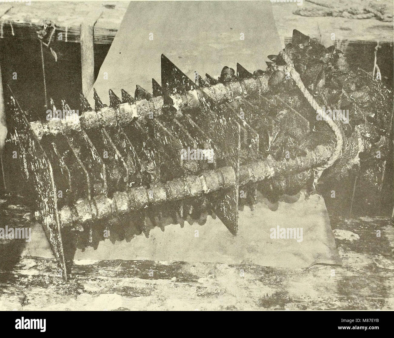 Effect of bottom sediment containing hydrogen sulfide on materials ...