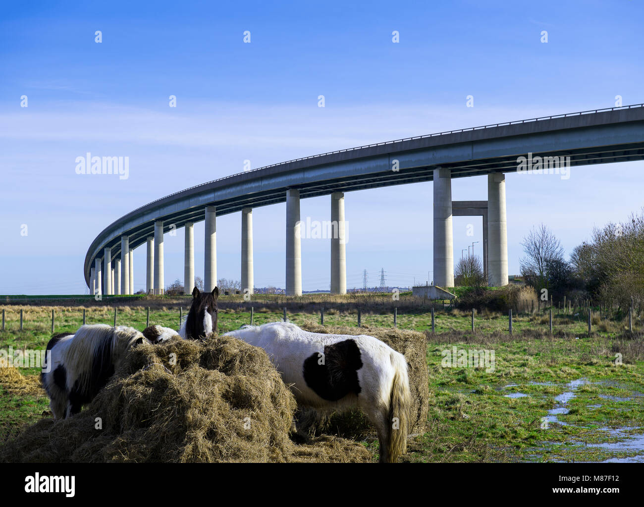 Sheerness crossing hi-res stock photography and images - Alamy