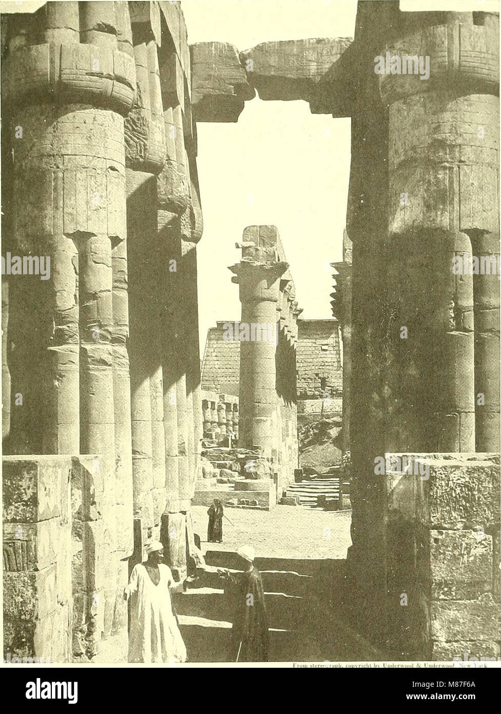 This work provides an overview of ancient Egypt, its monuments ...