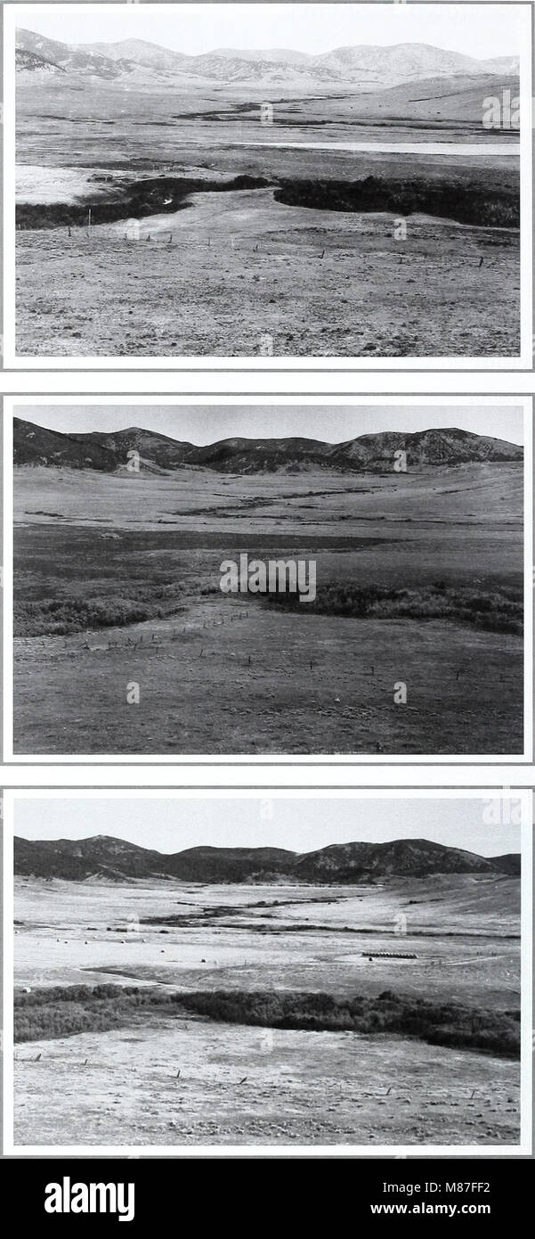 This photographic record (2001) documents the vegetation and landscape ...